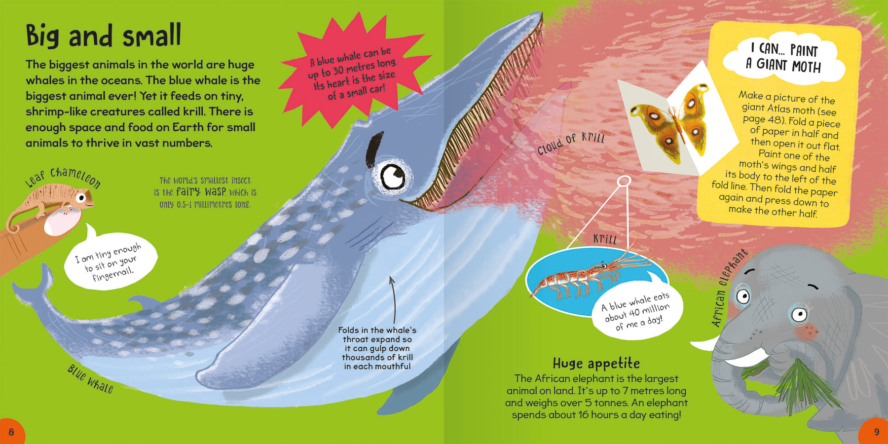 MY FIRST ANIMAL BOOK | AllForSchool-Libros, juegos y recursos para el ...